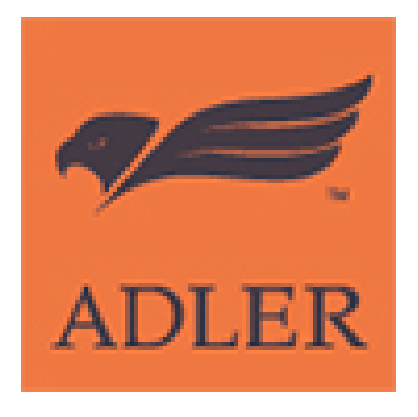 adler-logo - Onlinemarketing.Saarland